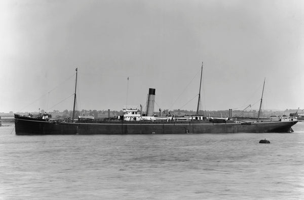 'Tokomaru' (Br, 1893) posters & prints by unknown