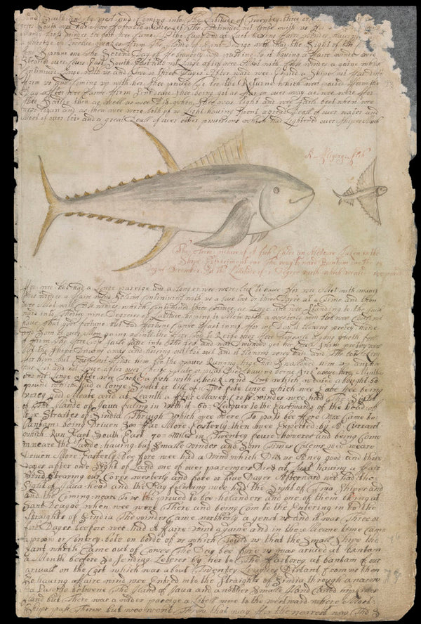 Plate from Edward Barlow's journal of his life at sea in king's ships ...
