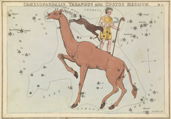 Camelopadalis, Tarandus and Custos Messium posters & prints by Sidney Hall