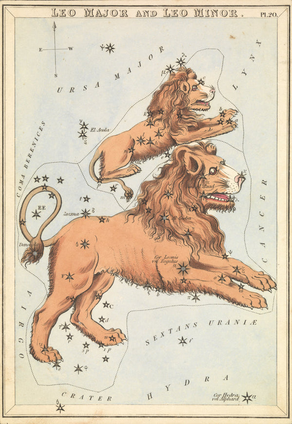 Leo Major and Leo Minor posters & prints by Sidney Hall
