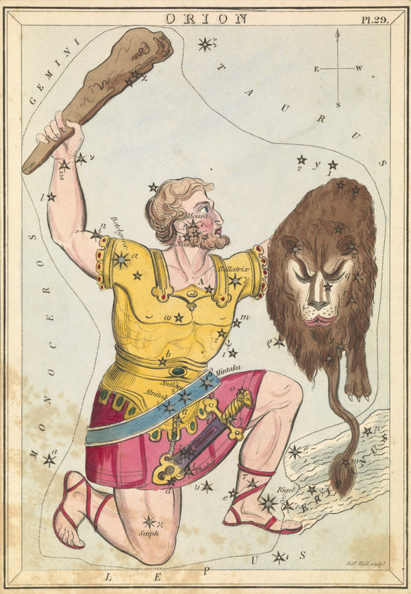 Orion posters & prints by Sidney Hall