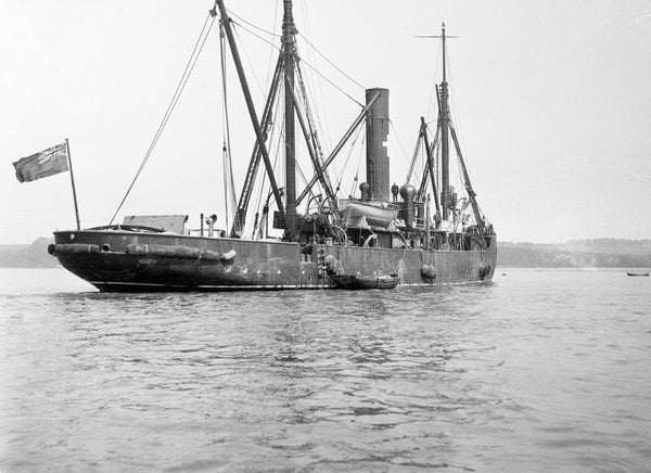 HMS 'Ranger', (1880) posters & prints by unknown