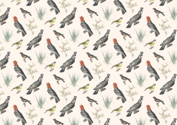Natural history repeat pattern posters & prints by Anonymous